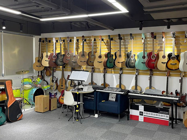 Aileen Music-Your Professional Musical Instrument Supplier