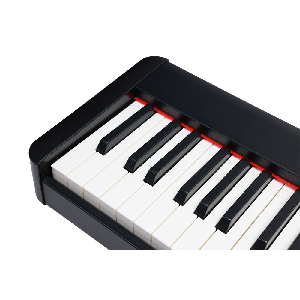 Electric Piano manufacturers, Electric Piano wholesaler - Aileen Music