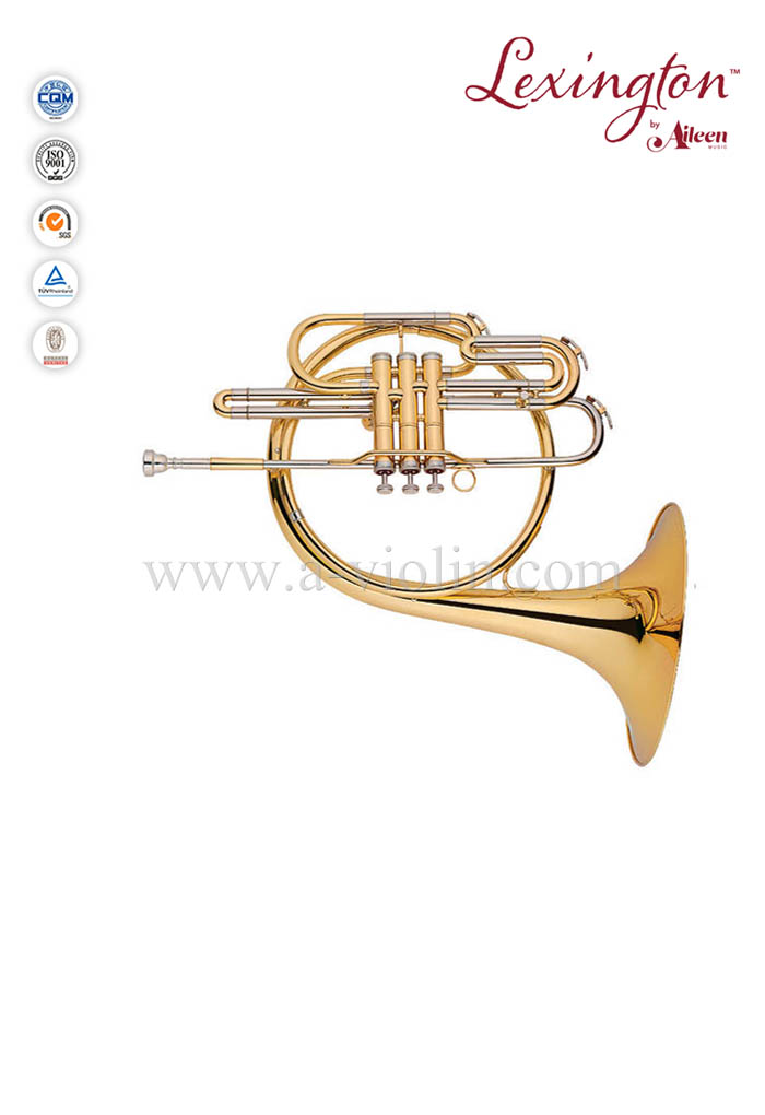 Piston Valves French Horn Music Instrument (FH7036P-G) - Aileen Music