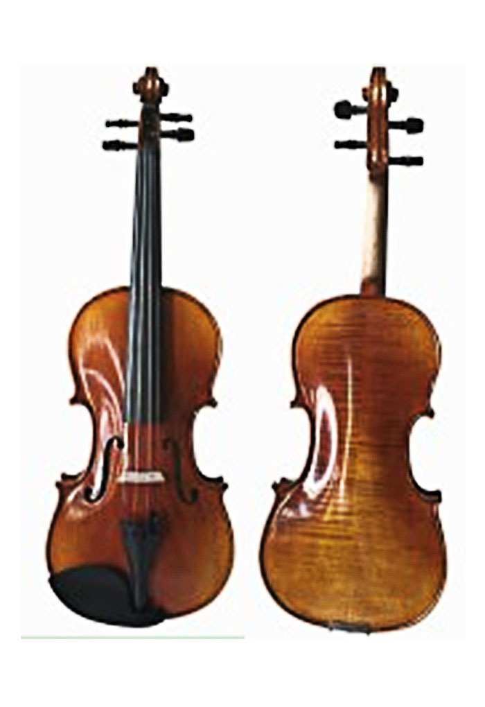 Master / Advanced Violin Manufacturer - Aileen Music