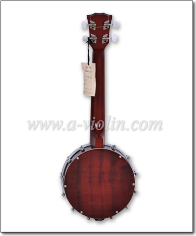 REMO Head 4 String Chinese Banjo Ukulele (AB-12U) - Aileen Music