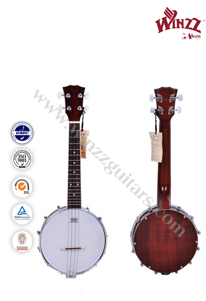 REMO Head 4 String Chinese Banjo Ukulele (AB-12U) - Aileen Music
