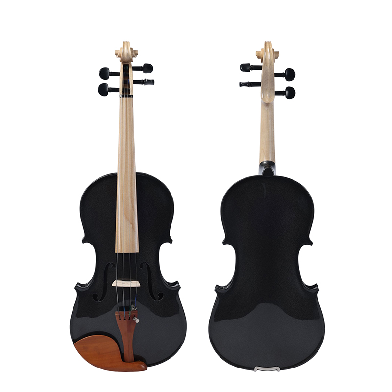 Quality Violins For Sale - AILEEN