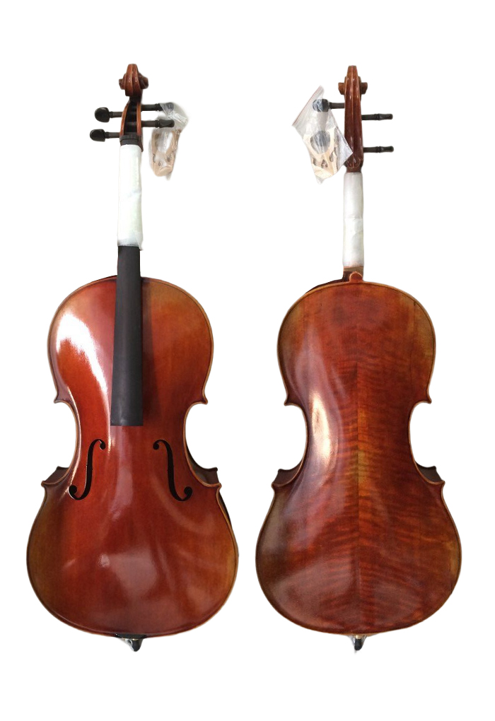 Stringed Instruments Of Violins, Violas, Cellos & More - AILEEN
