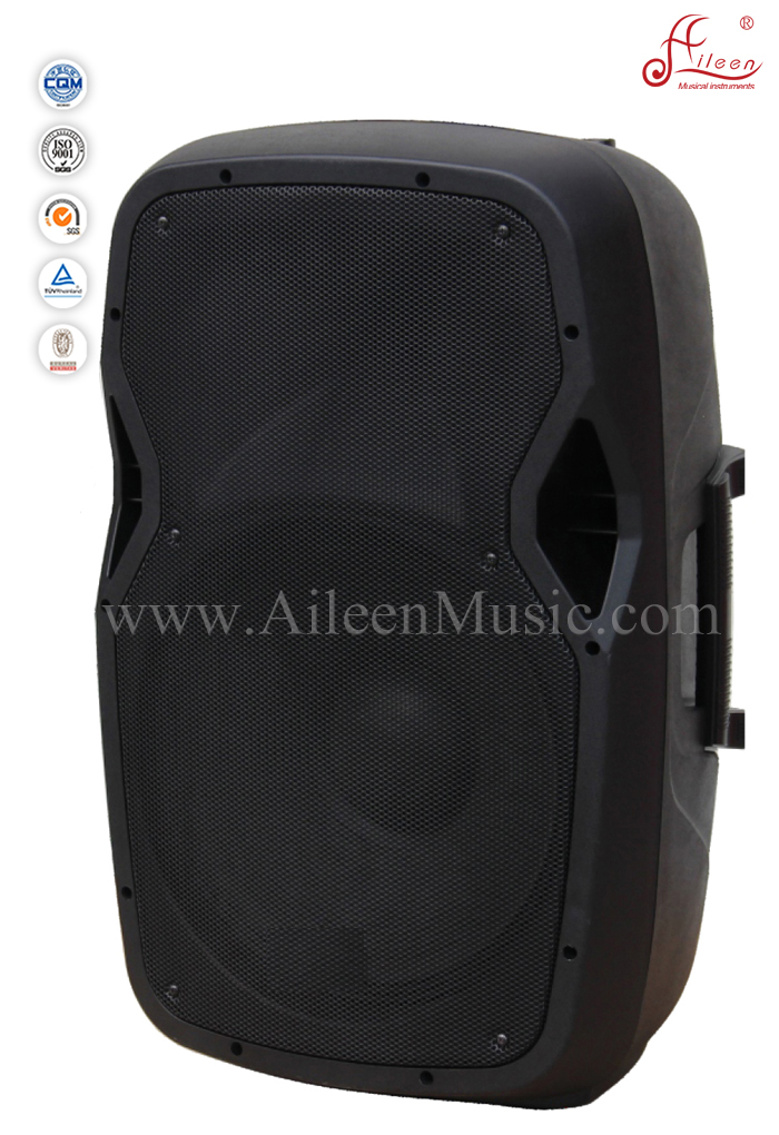 Plastic cabinet speakers Manufacturer - Aileen Music
