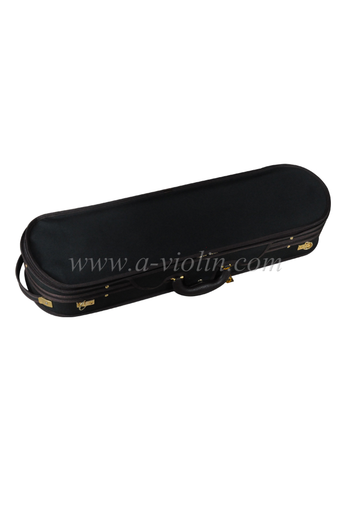 Ensure Optimal Protection with Durable Violin Hard Cases - Aileen Music