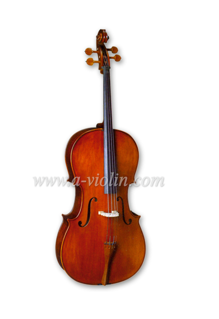 Reddish Brwon Colorful Fashion Student Cello (CG104) - Aileen Music
